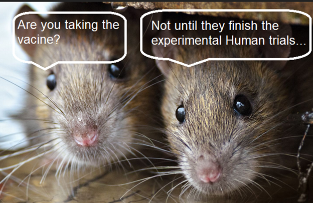 8 Smart Mice Hanging Out in the Bar! Dan J. Harkey